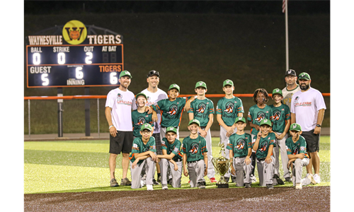 Wood Little League > Home